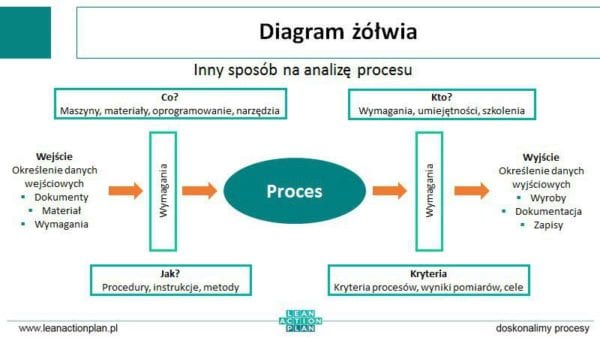 Diagram żółwia