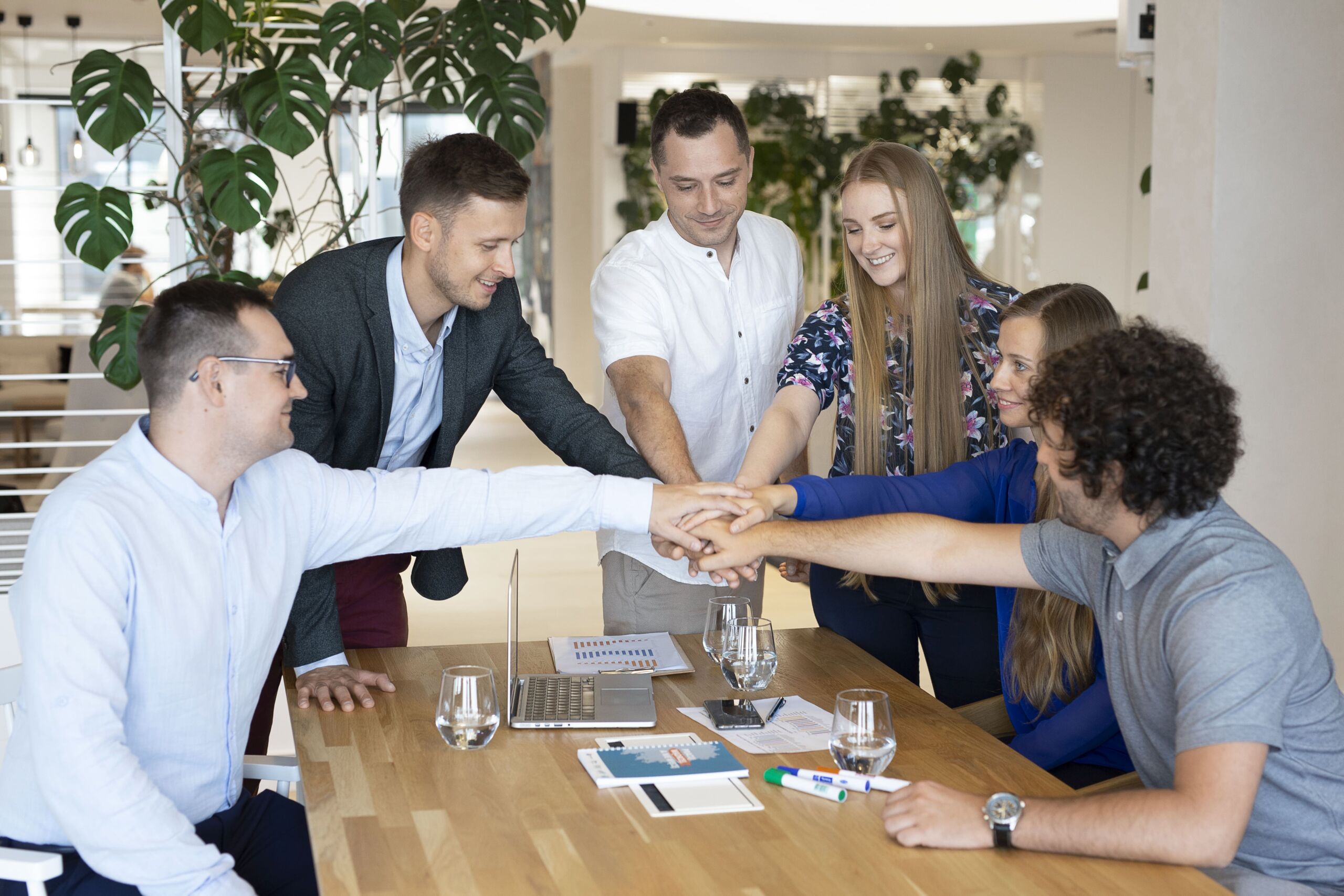 Lean Action Plan - Lean Action Plan